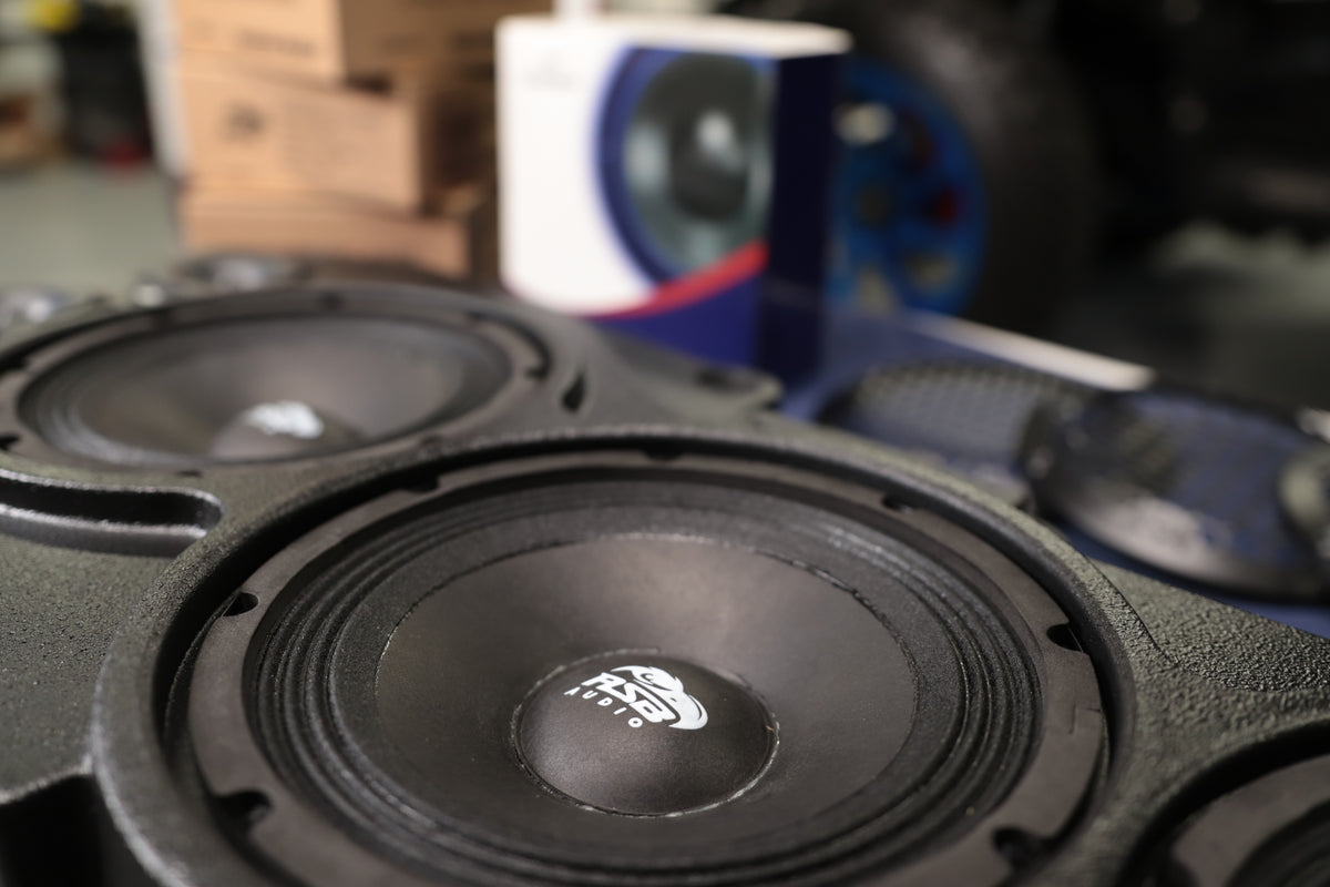 ASB Audio Mid-Bass Speaker 8"